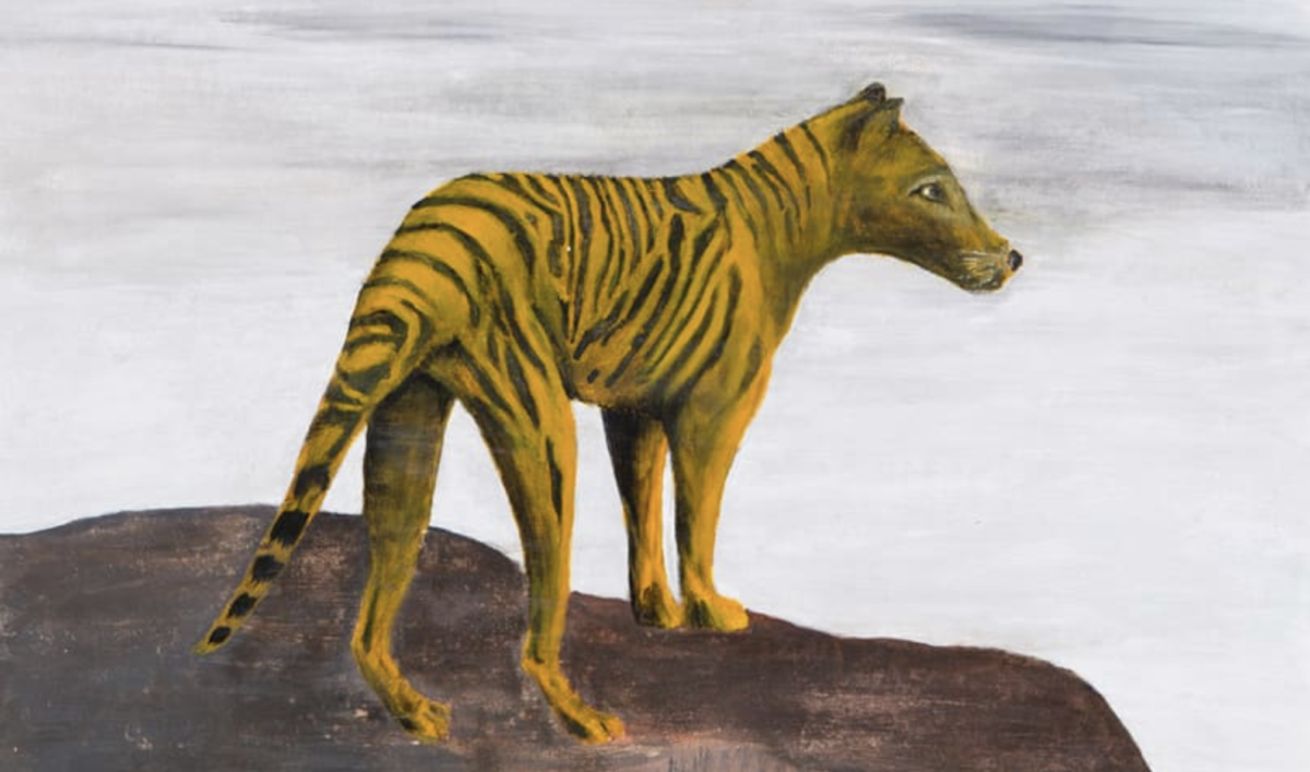 Artist Insights: Peter T | The Torch